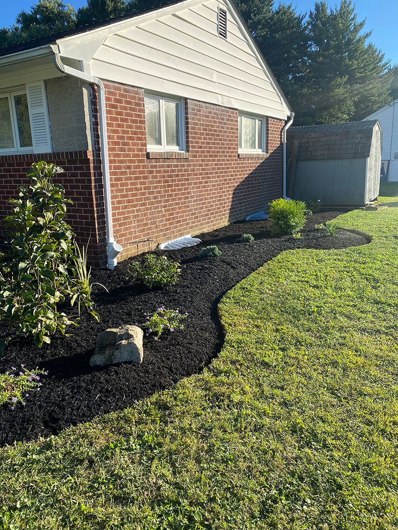 Boost Your Curb Appeal: Landscaping Ideas to Increase Home Value